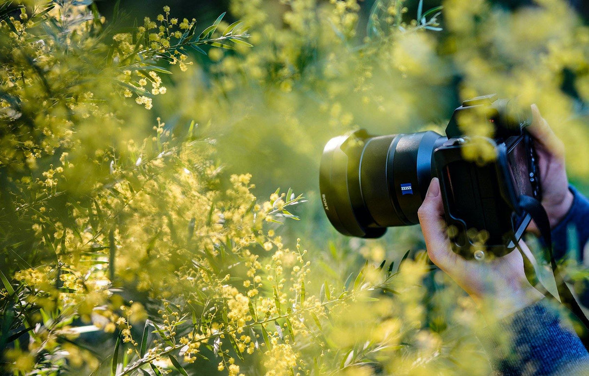 Asas Fotografi Digital – Saiful Nang Academy