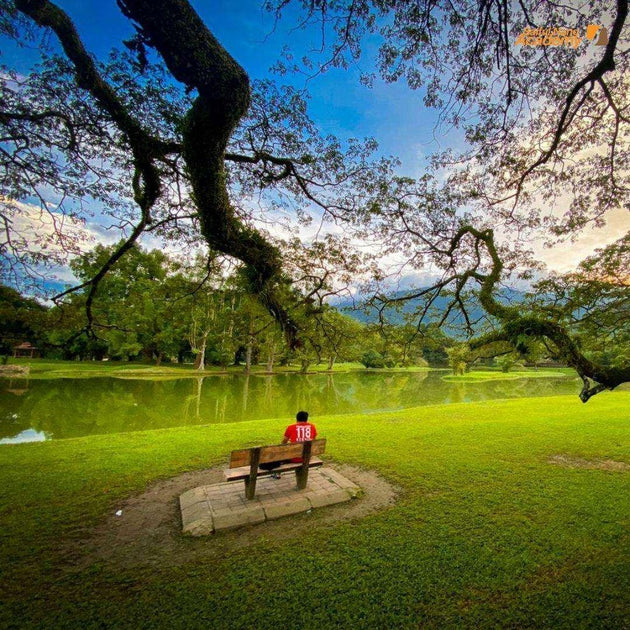 KELAS RAKAMAN FOTOGRAFI & VIDEOGRAFI – Saiful Nang Academy