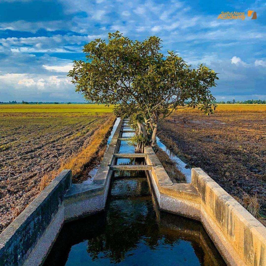 Kelas Online Smartphone Photography Terbaik di Malaysia – Saiful Nang ...